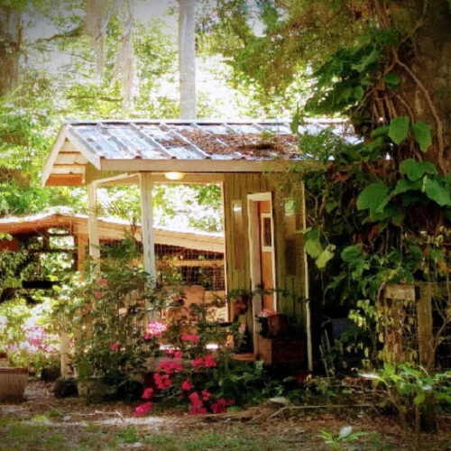 How to Build a Walking Trail on a Rural Property – Mother Earth News